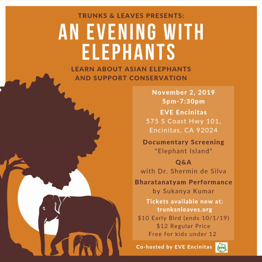 An Evening with Elephants – Learn About Asian Elephants & Support ...